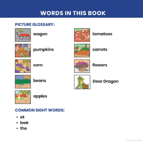 Discover Dear Dragon Series With Norwood House Press - Learning N Kids